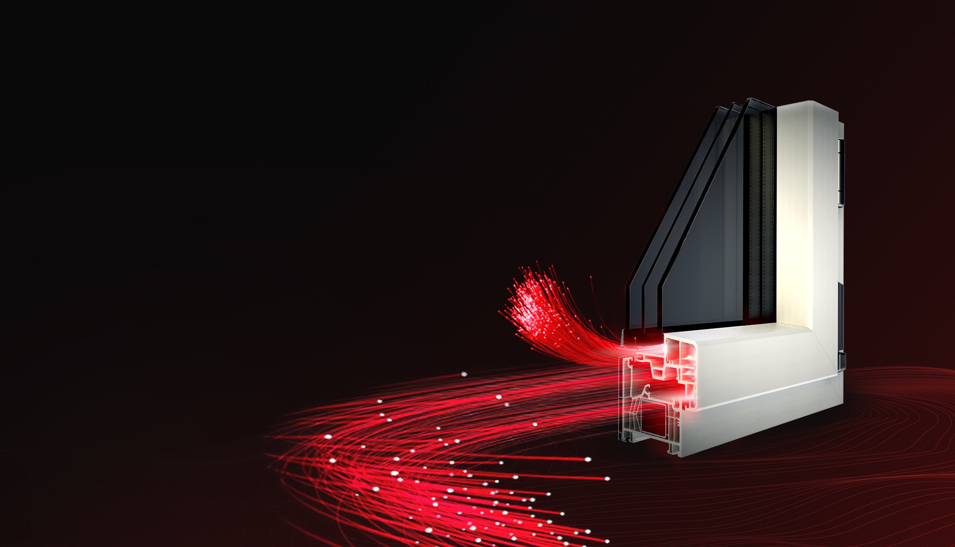 Homepage - Korus USA